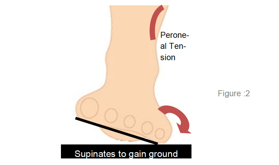Shin Splints | DLT Podiatry