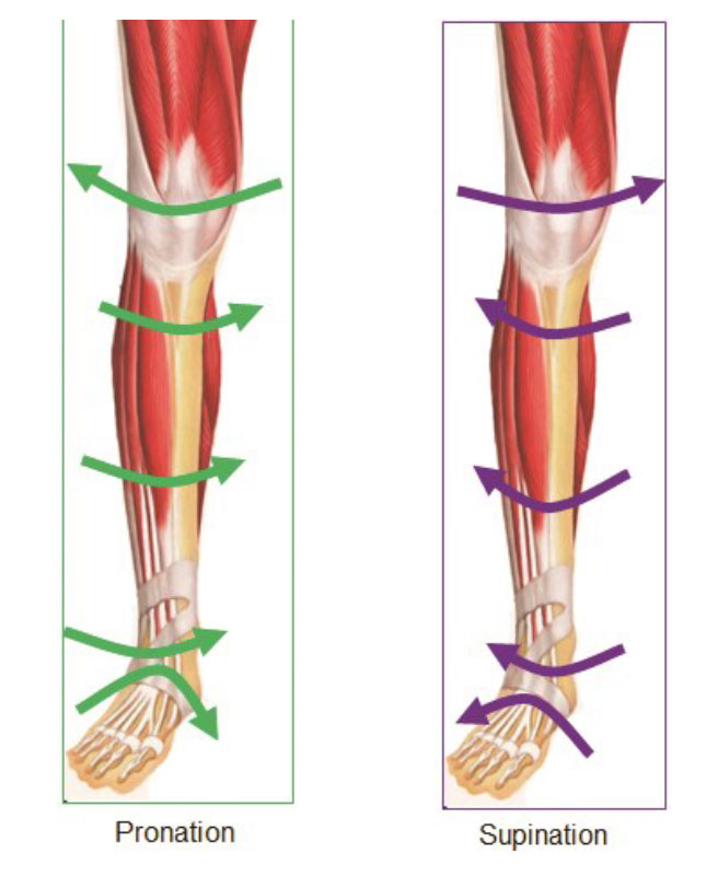 June, 2019 | DLT Podiatry